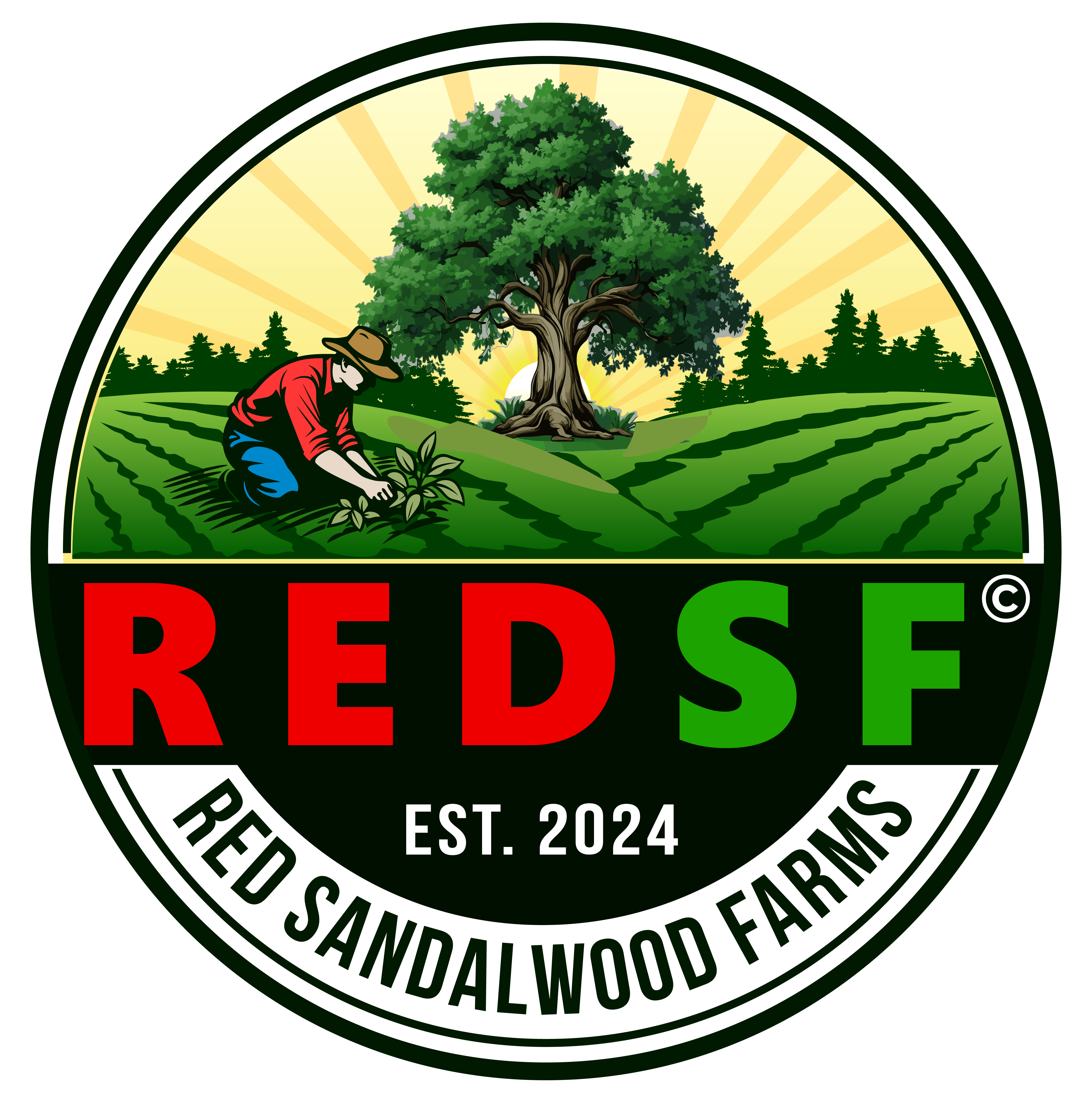 REDSF Launches First-Ever Web3 Gaming Platform Integrating AI with Real ...