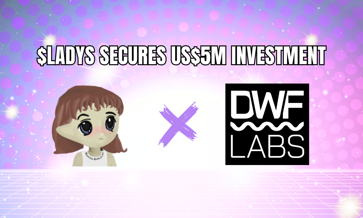 Milady Meme Coin Beveiligd US$5 Miljoen Investering van DWF Labs - Blockspot.io