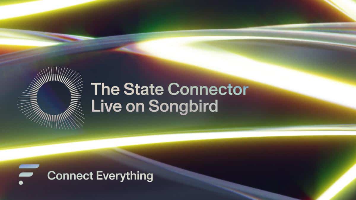 Flare Network Launches State Connector To Connect Everything - Blockspot.io