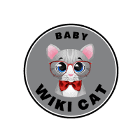 Baby Wiki Cat BWKC | Token Information and Market Data