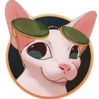 Bingus Token (BINGUS) | Price, Stats, Blockchain Info