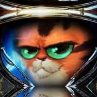 DPK (DPK TOKEN) | Binance Smart Chain Token Data