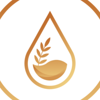 ENKI Protocol (ENKI ) Price and Info