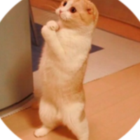 First Meme (LOLCAT ) Price and Info