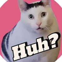Huh cat (HUHCAT) | Market cap, price, and stats