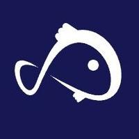 Koii (KOII) | Cryptocurrency data and blockchain stats