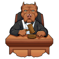 MEME JUDGES (JUDGE ) Price and Info