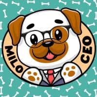 Milo CEO (MILOCEO ) Price and Info