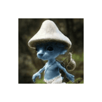 Real Smurf Cat (ELECTION) Price and Info