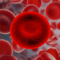 Red Blood Cell (RBC ) Price and Info