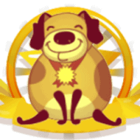 Shiba Toby (SHBT ) Price and Info