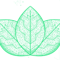 Viridis Network (VRD ) Price and Info